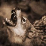 American Demons: List of Demons in the Americas